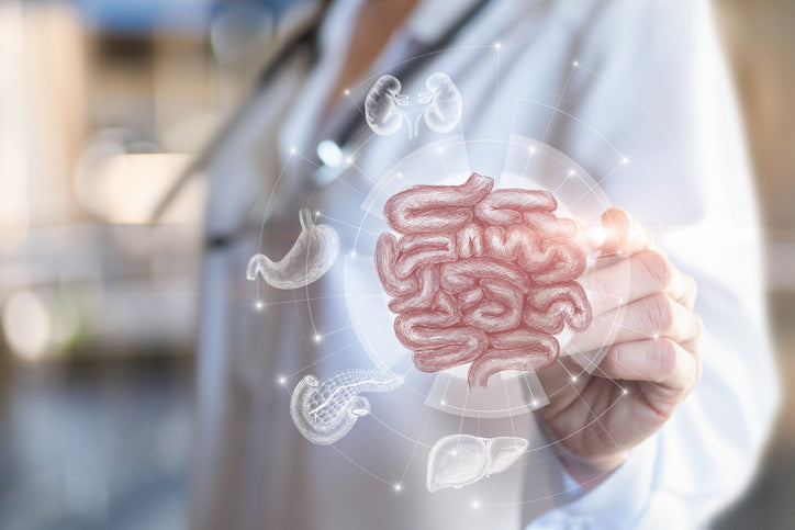 The Gut Microbiome 101: An Overview – gardenia by dōsyna COLLECTIVE